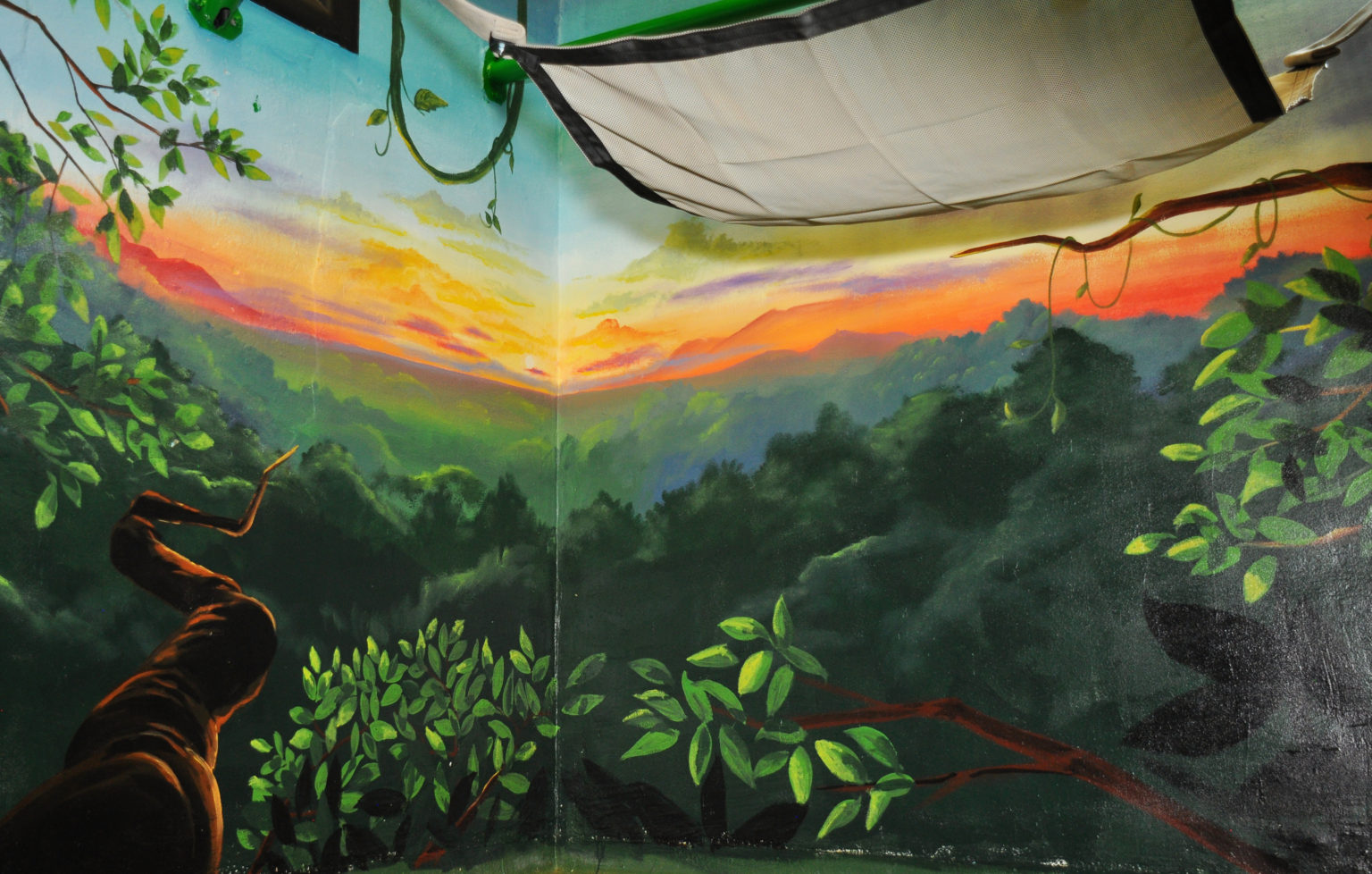 Artist Spotlight: Julio Ceballos - Project Chimps