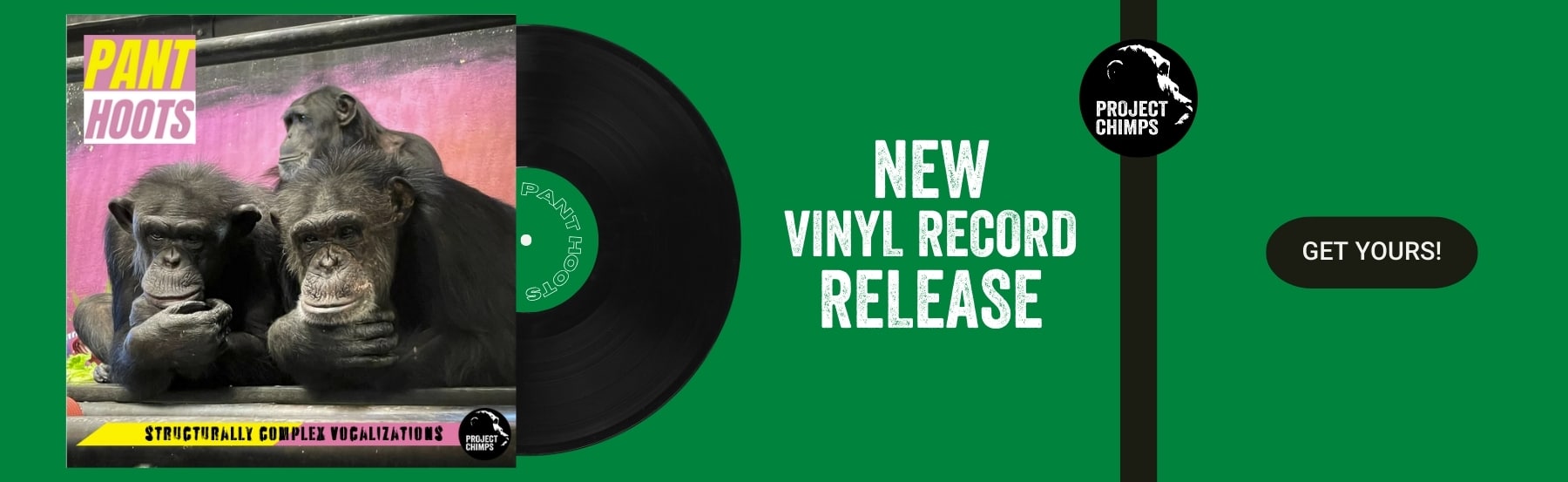 vinyl record (mobile) - Project Chimps