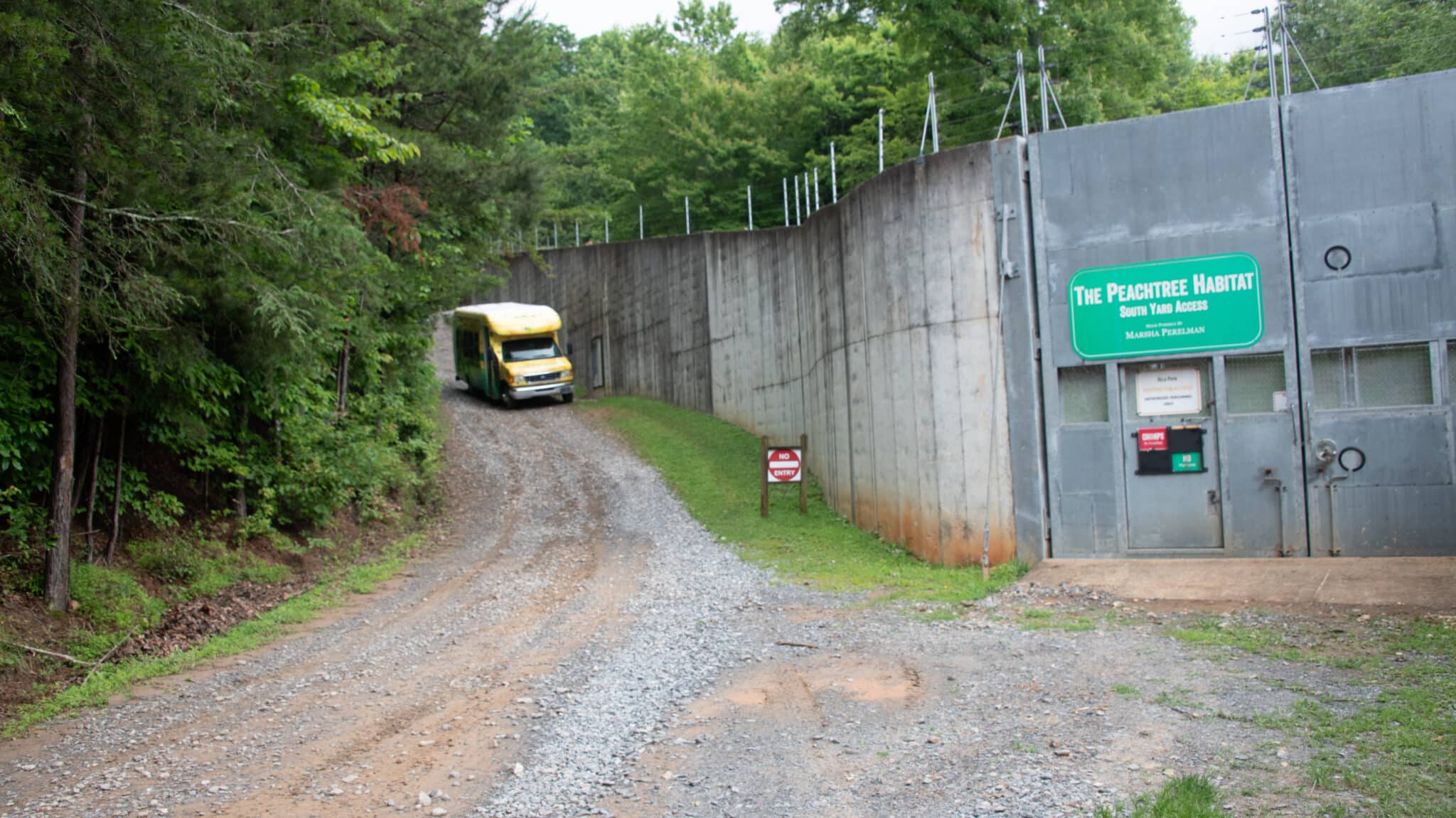 All Aboard the Banana Bus - Project Chimps