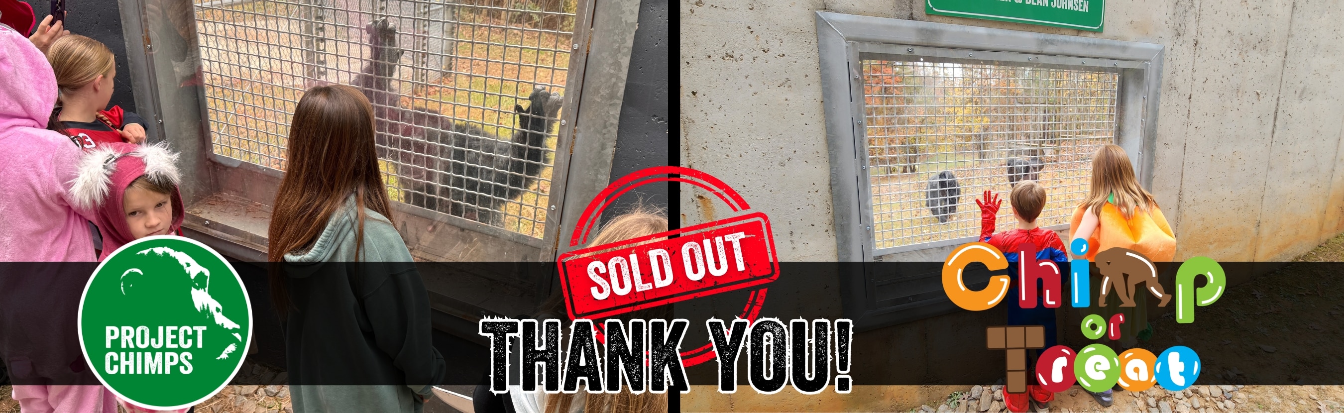 Home - Project Chimps